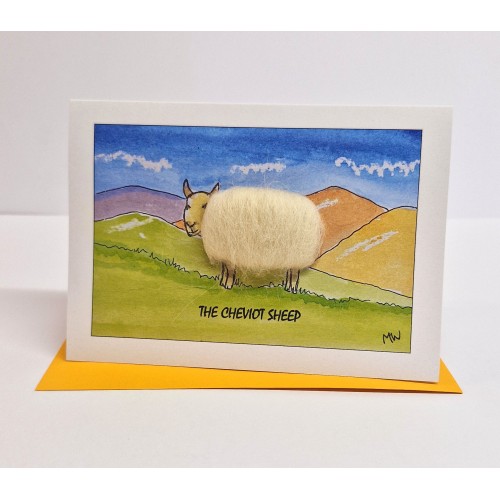 S211 Breeds of Sheep CHEVIOT